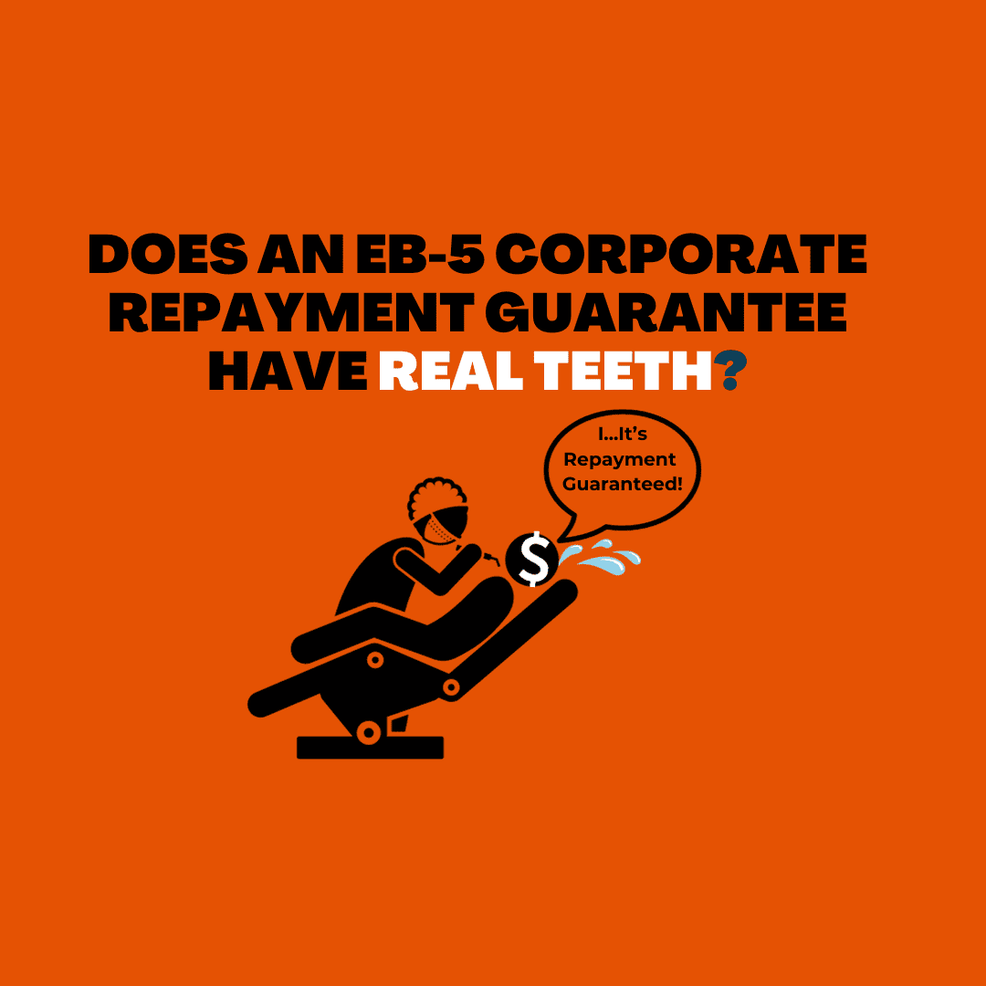 Seven Key Takeaways to Best Protect Your EB-5 Investment.